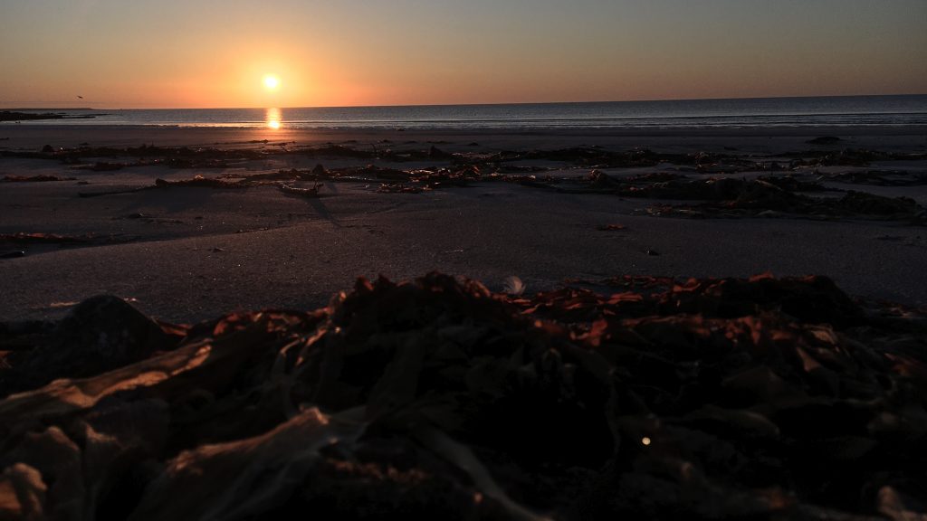 Go out walking after midnight – VisitSanday.com